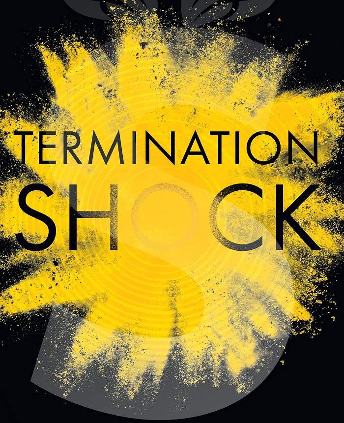 Termination Shock | Neal Stephenson - Albin Michel Imaginaire